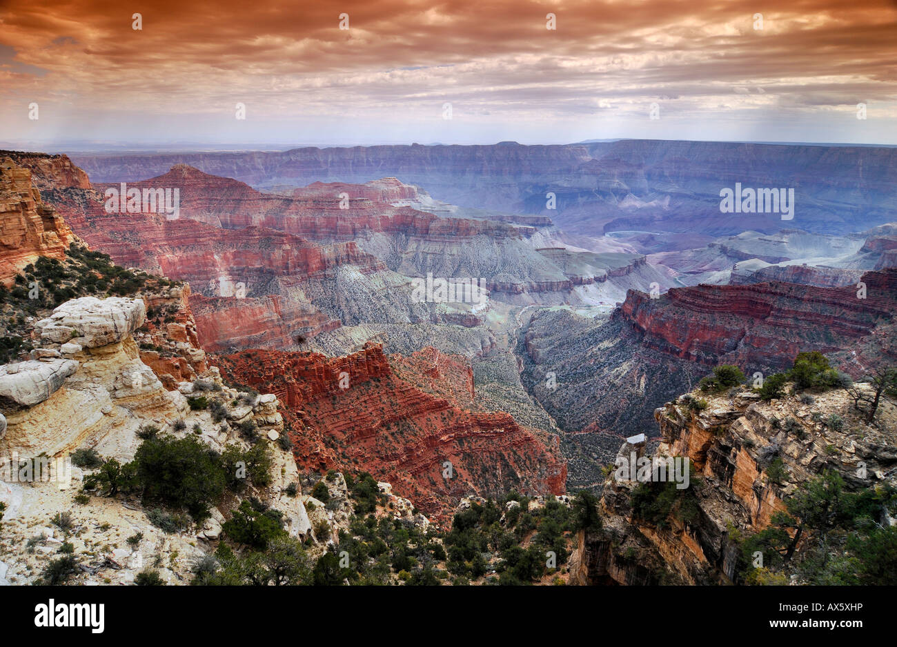 Point d'observation le long de la North Rim Trail, North Rim, le Parc ...