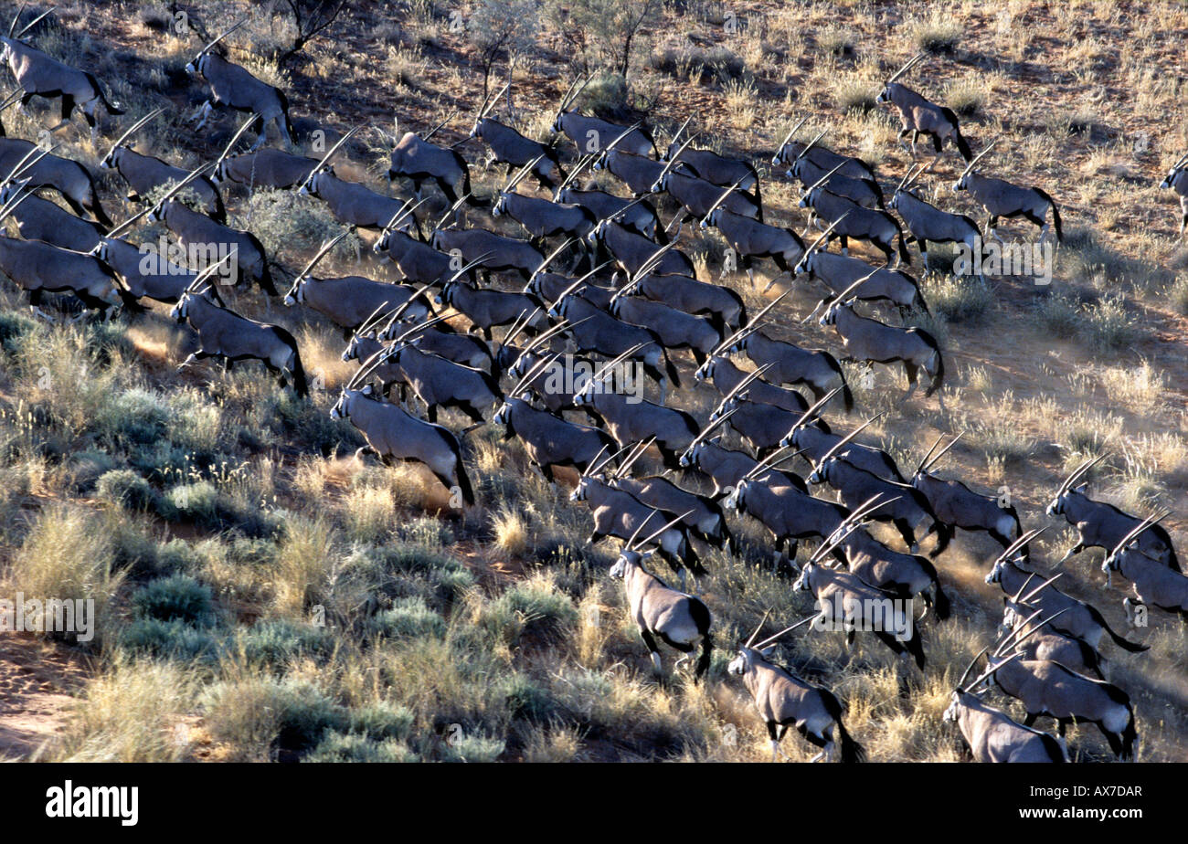 Aroab district Banque de photographies et d’images à haute résolution ...