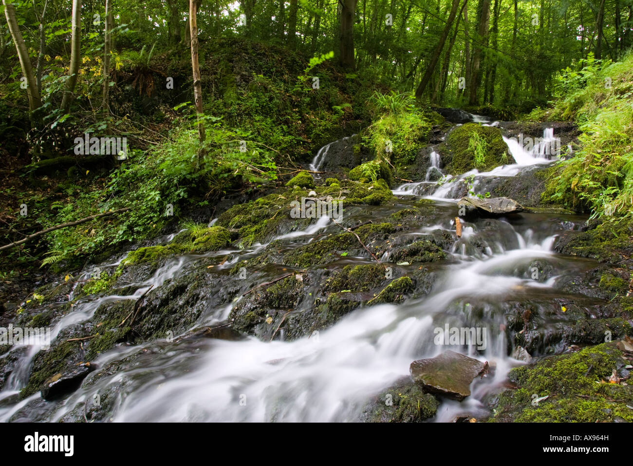 Petit ruisseau Cascade ou Beck, sur la rive du lac Windermere se ...