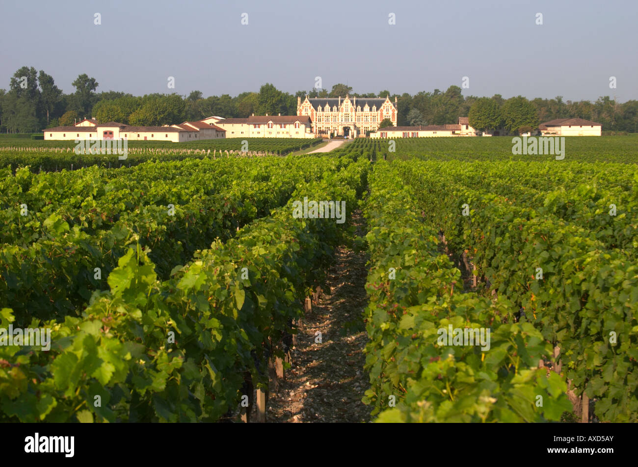 Vignoble. Chateau Cantenac Brown, Margaux, Médoc, Bordeaux, France ...