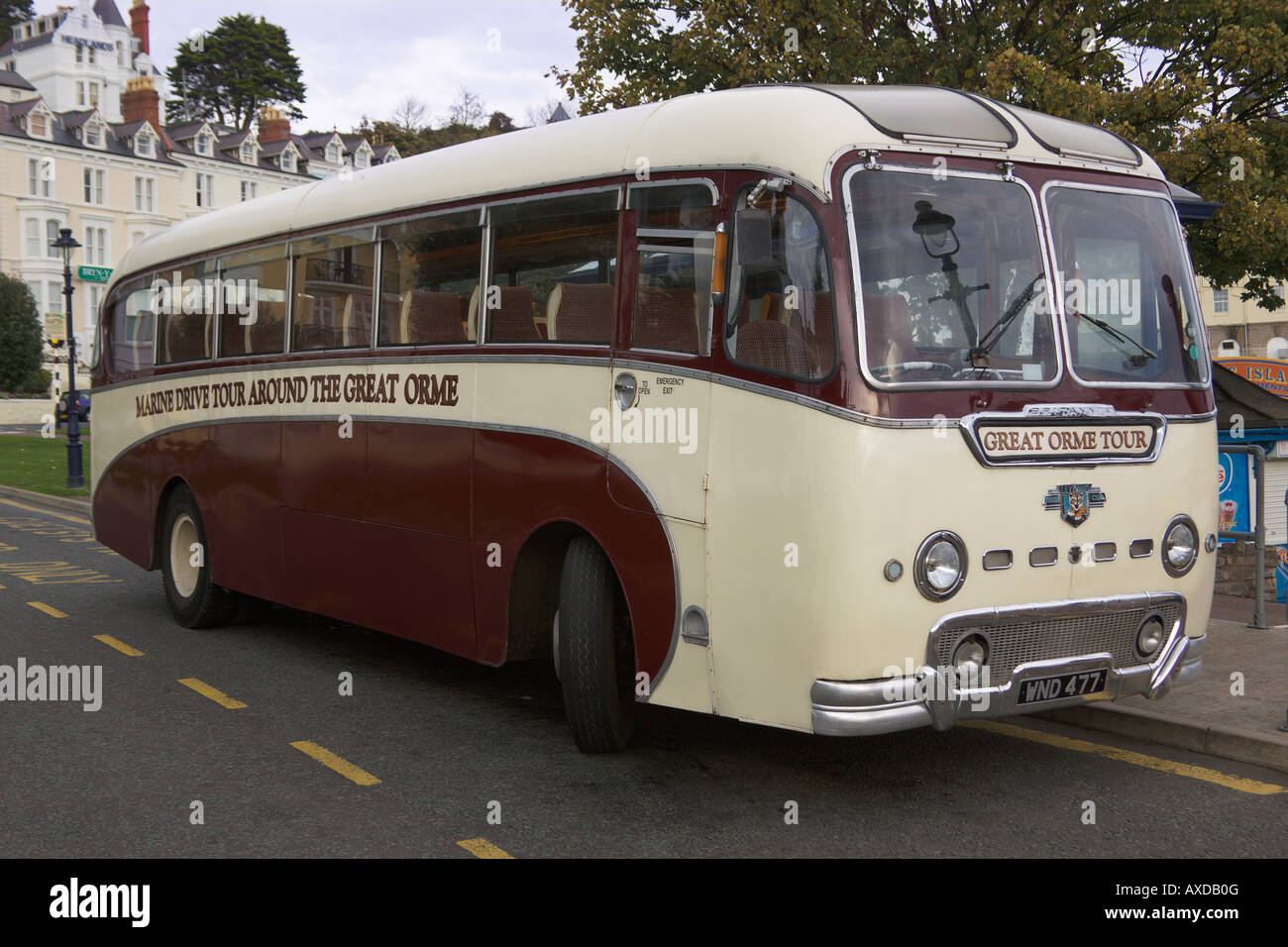 Leyland cub Banque de photographies et d’images à haute résolution - Alamy