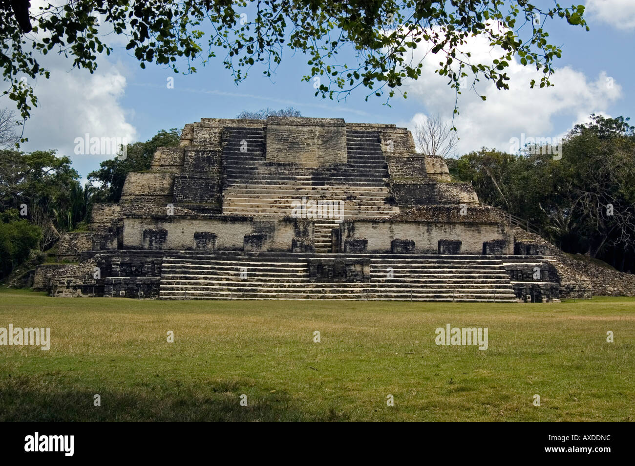Pyramide en pierre ruine Maya Altun Ha Belize Photo Stock - Alamy