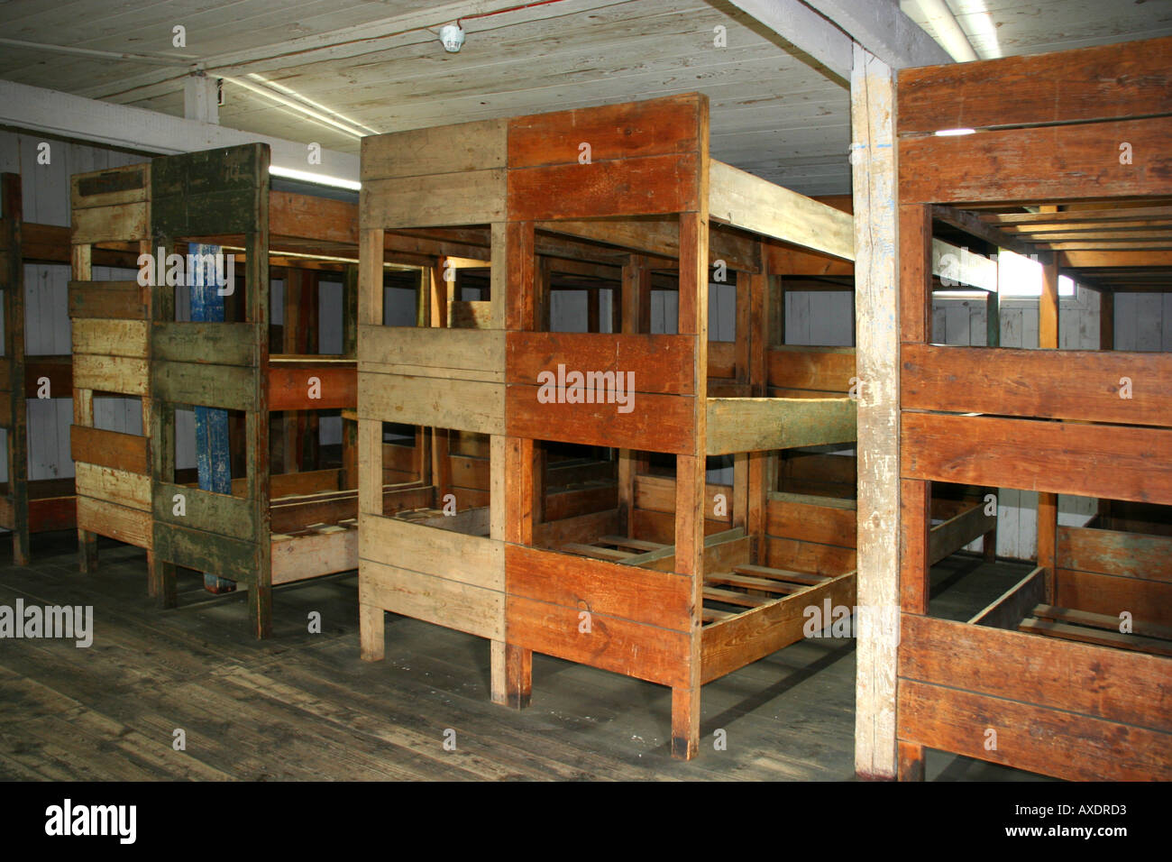 Des lits superposés dans le camp de concentration de Stutthof Photo ...