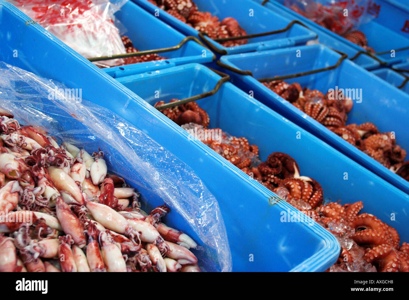 Différents types de poissons à vendre en bleu des conteneurs au marché ...