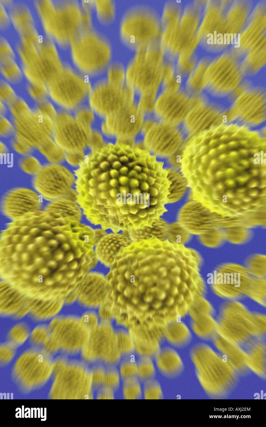 Electron microscope pollen Banque de photographies et d’images à haute ...