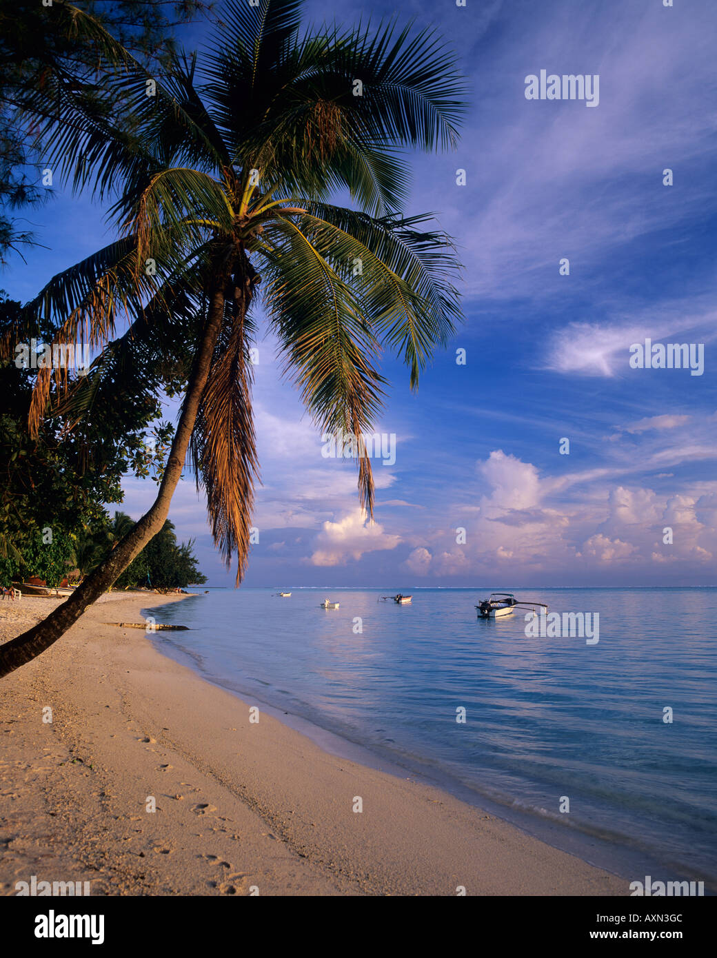 Matira beach sunset bora bora Banque de photographies et d’images à ...