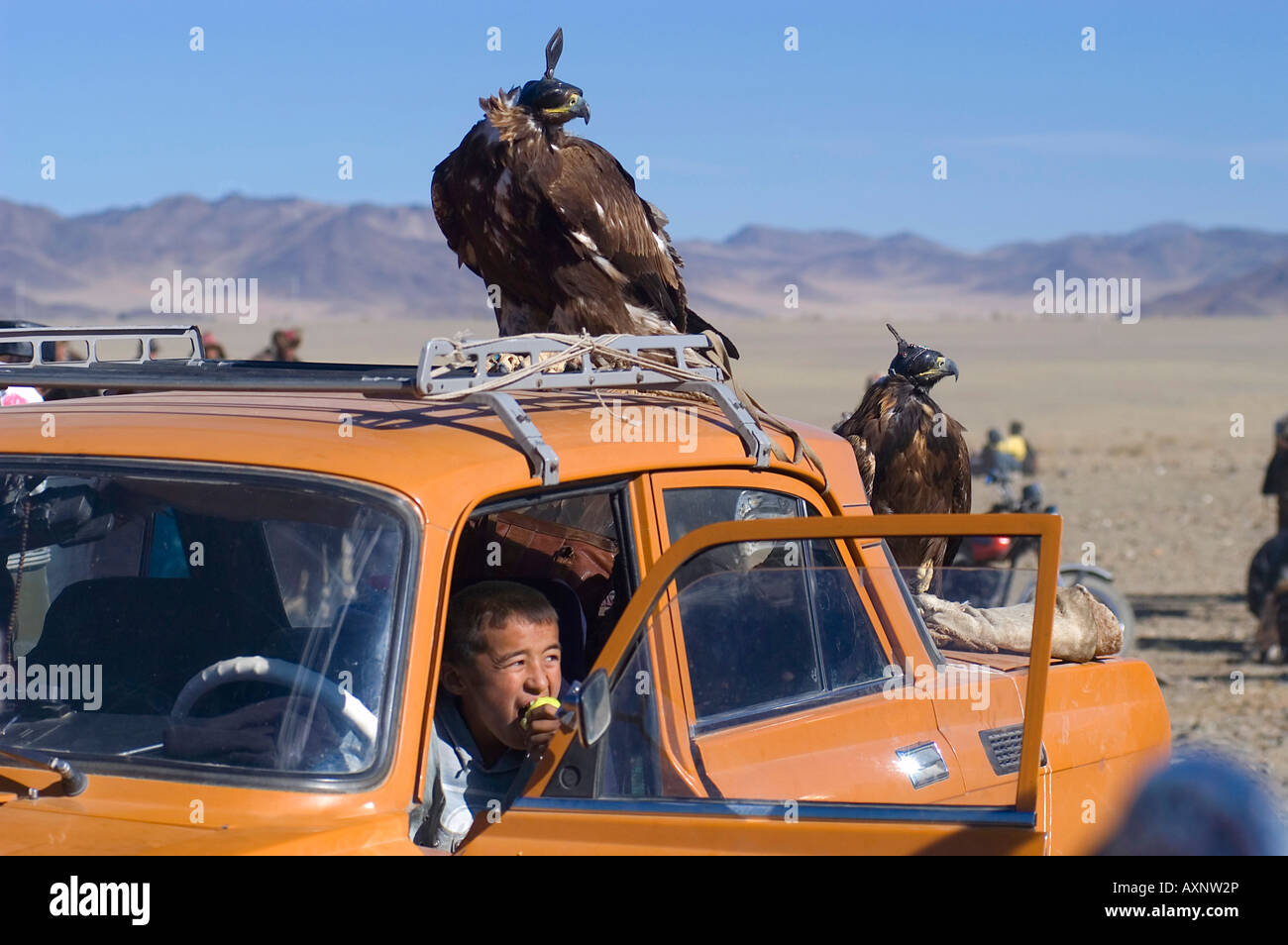 Un aigle hunter se prépare à démontrer son eagle pour les spectateurs ...