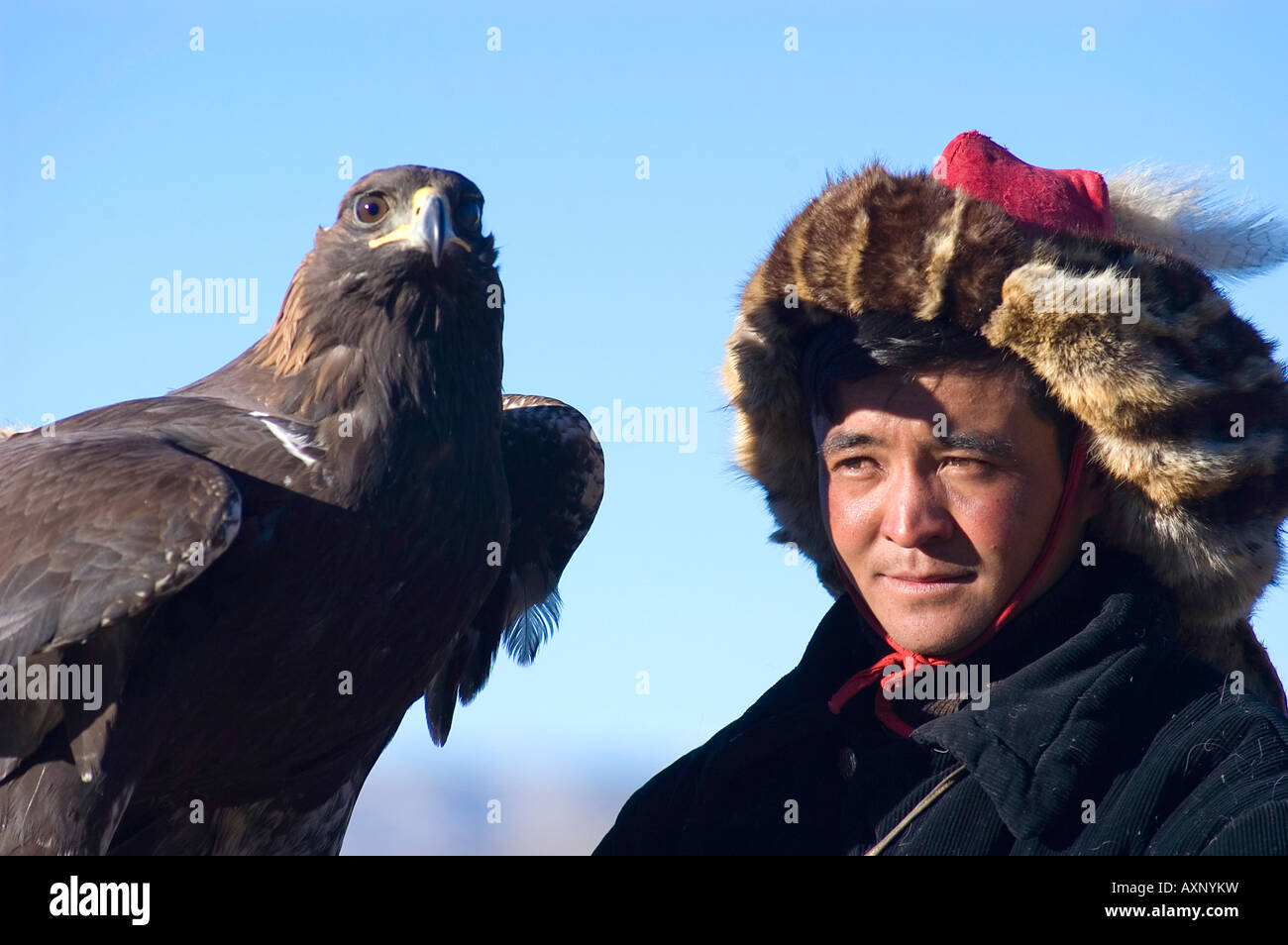 Un aigle hunter se prépare à démontrer son eagle pour les spectateurs ...