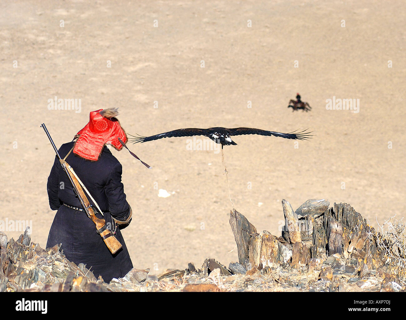 Un aigle hunter se prépare à démontrer son eagle pour les spectateurs ...