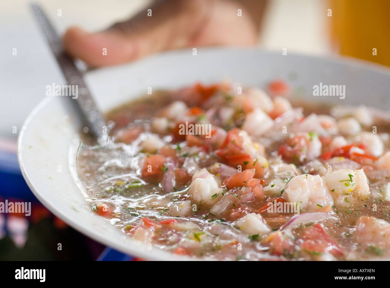 Ceviche de fruits de mer marinés plat de crevettes à l'équateur ...