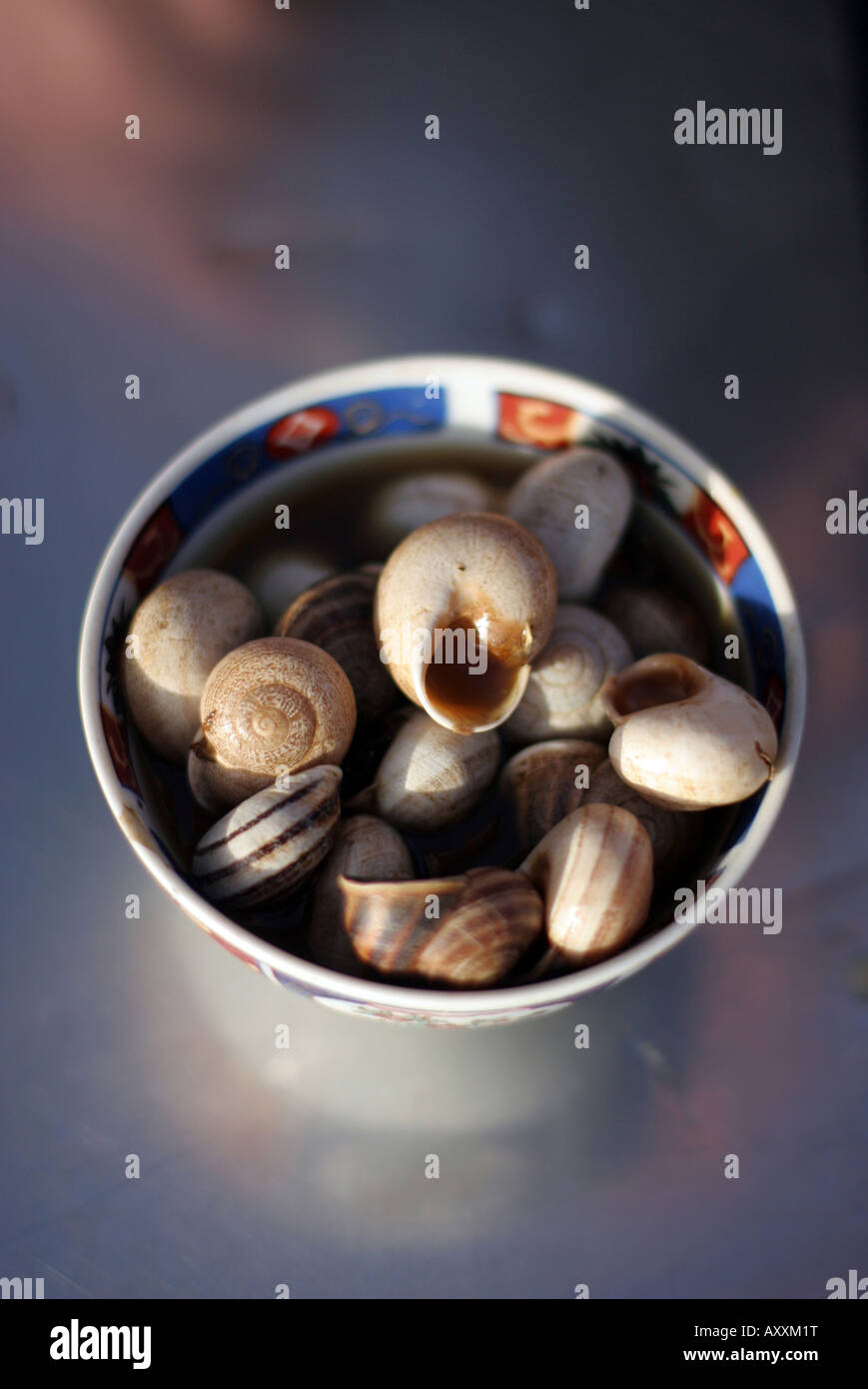 Escargot snails in street market Banque de photographies et d’images à ...