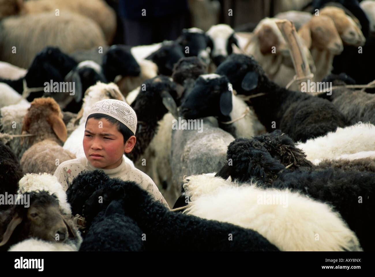 Culture uighur Banque de photographies et d’images à haute résolution ...