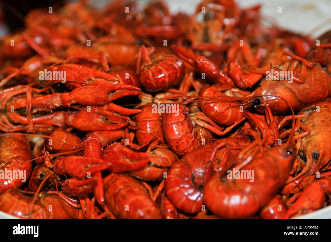 Crayfish boil Banque de photographies et d’images à haute résolution ...