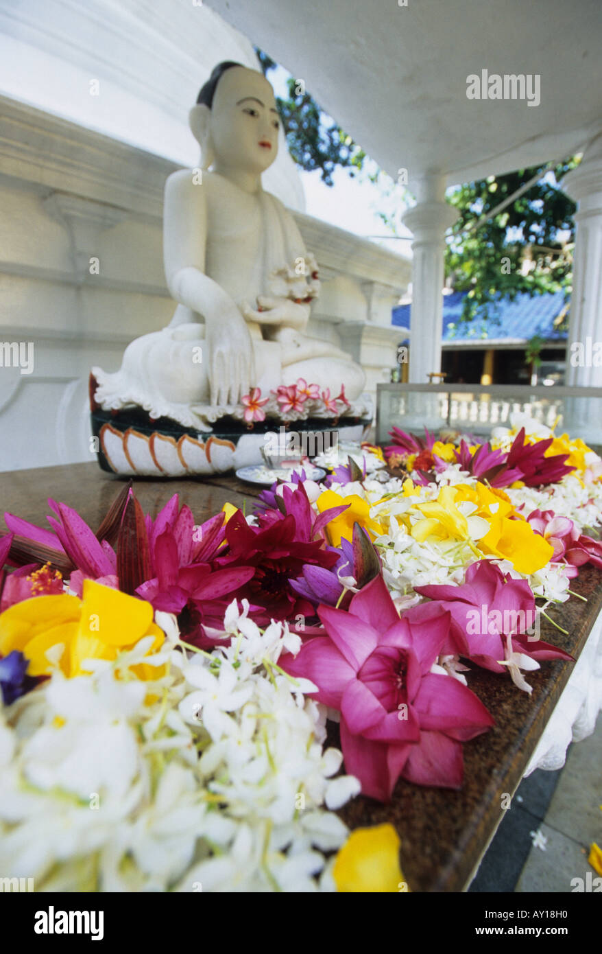 Gangarama temple Banque de photographies et d’images à haute résolution ...