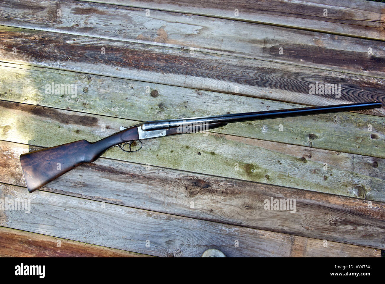 Fusil de chasse double canon de calibre 12 Banque de photographies et d ...