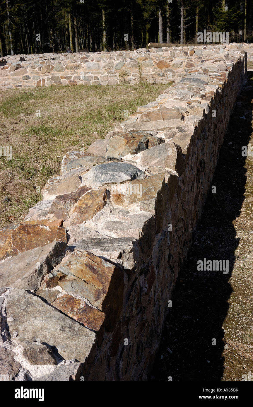 Gaulois celtique Banque de photographies et d’images à haute résolution ...