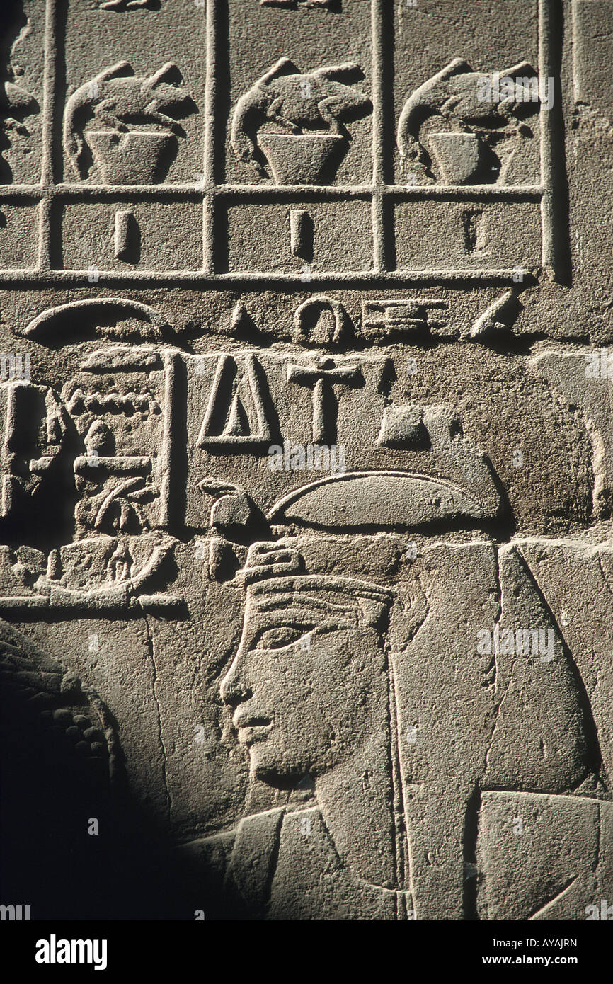 Ancient egyptian hieroglyphs Banque de photographies et d’images à ...