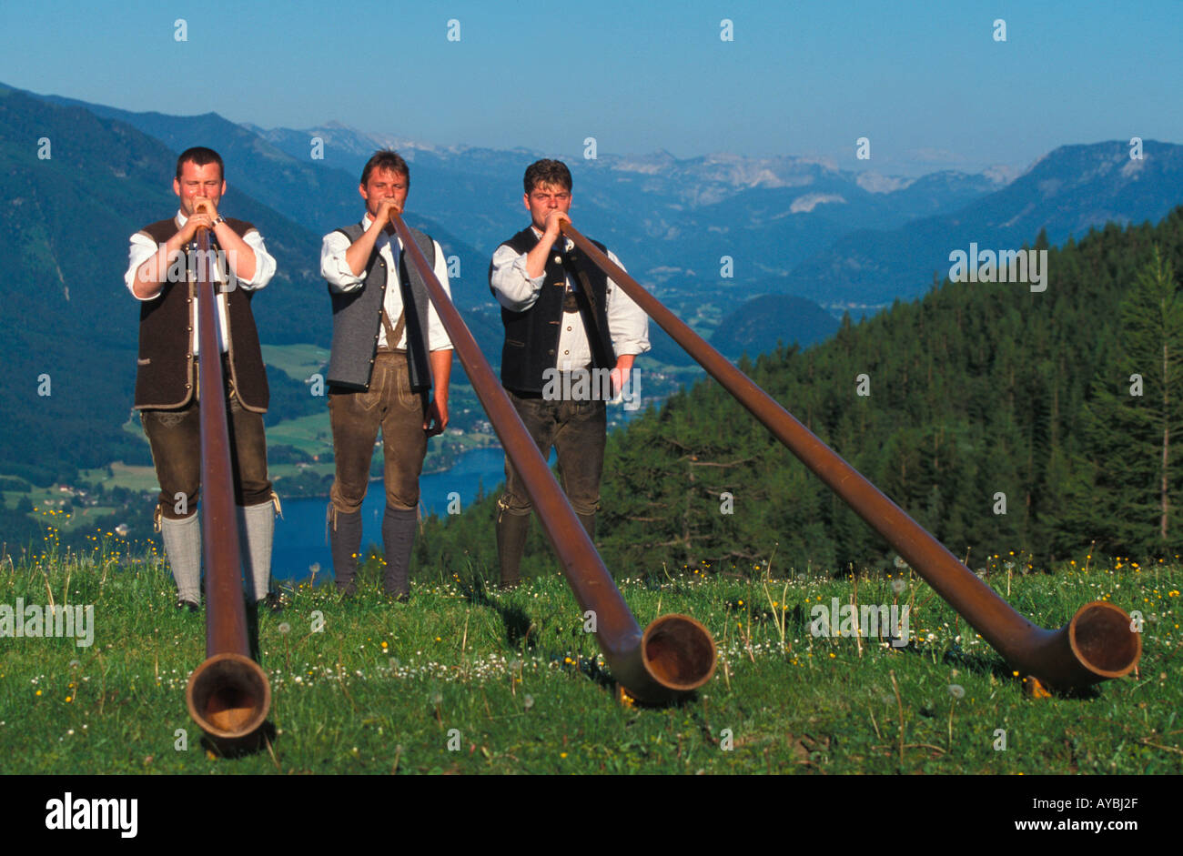 Alp horn instrument Banque de photographies et d’images à haute ...