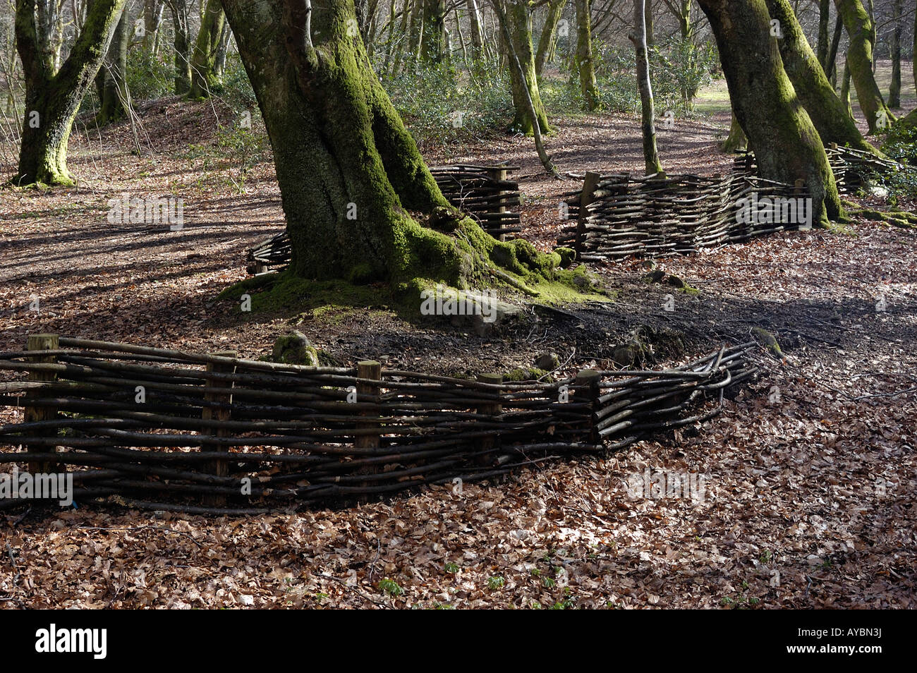 Gaulois celtique Banque de photographies et d’images à haute résolution ...