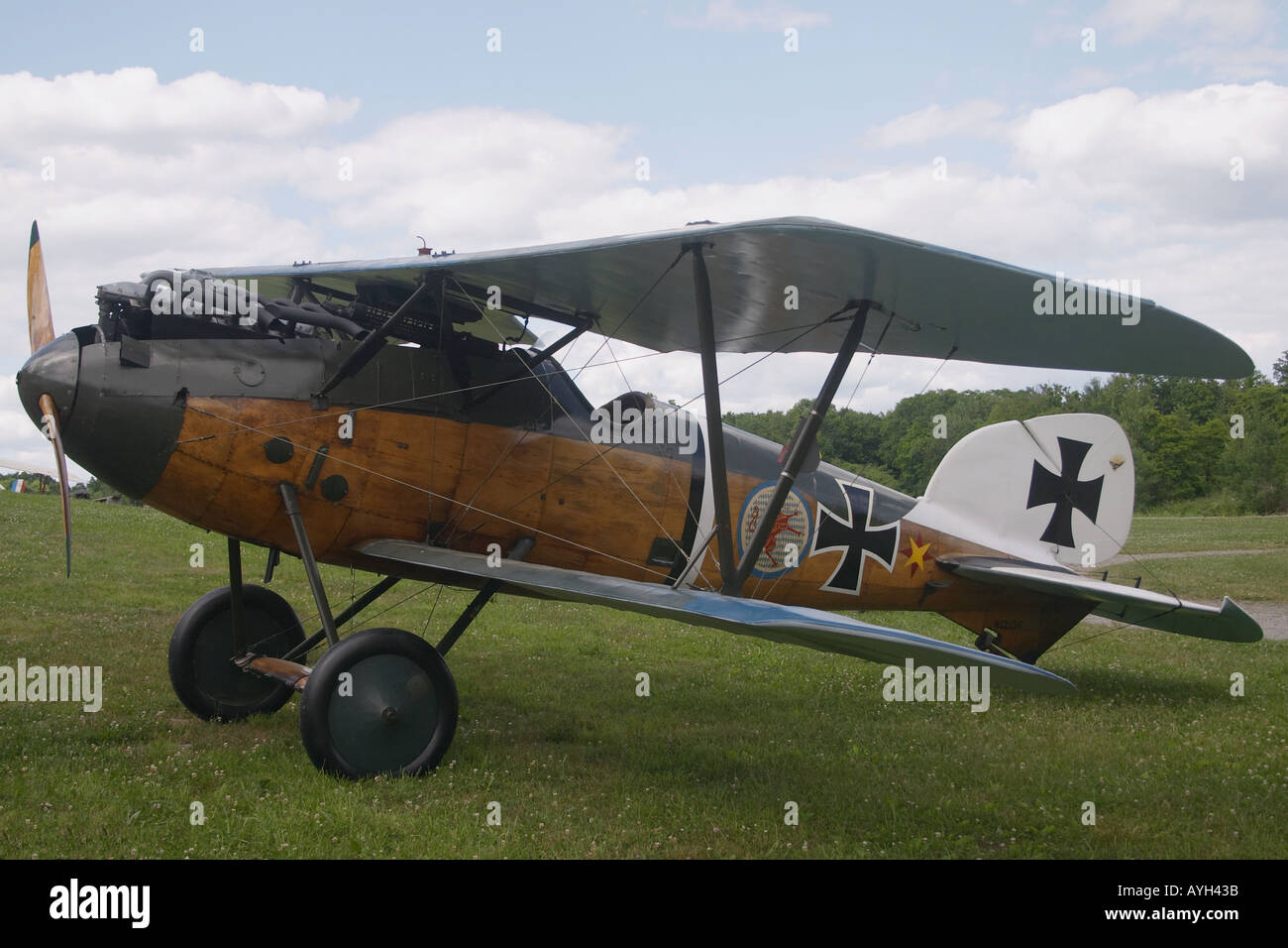 Albatros biplane Banque de photographies et d’images à haute résolution ...