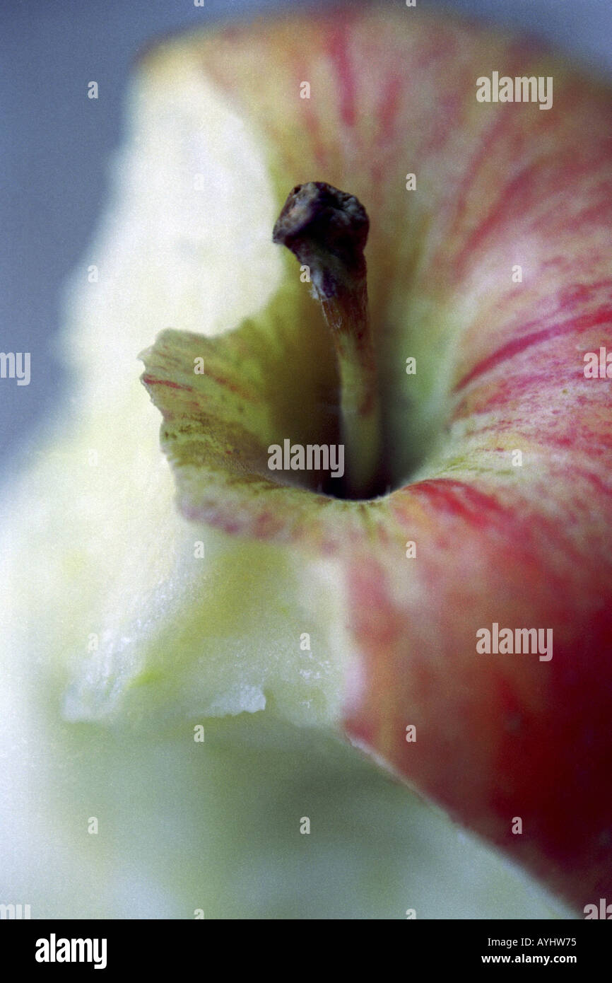 Apfel stiel Banque de photographies et d’images à haute résolution - Alamy