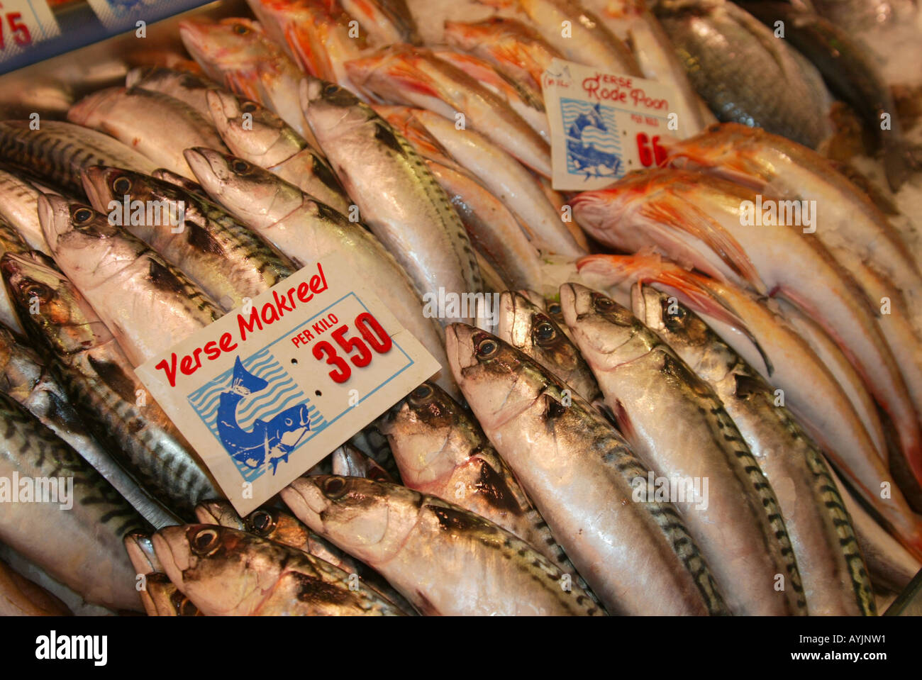 Marché aux poissons à amsterdam Banque de photographies et d’images à ...