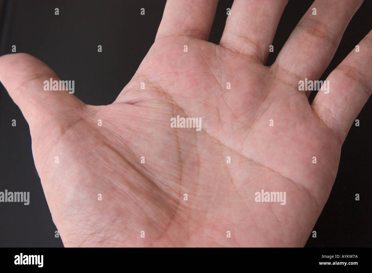 Pli palmaire transversal Banque de photographies et d’images à haute ...