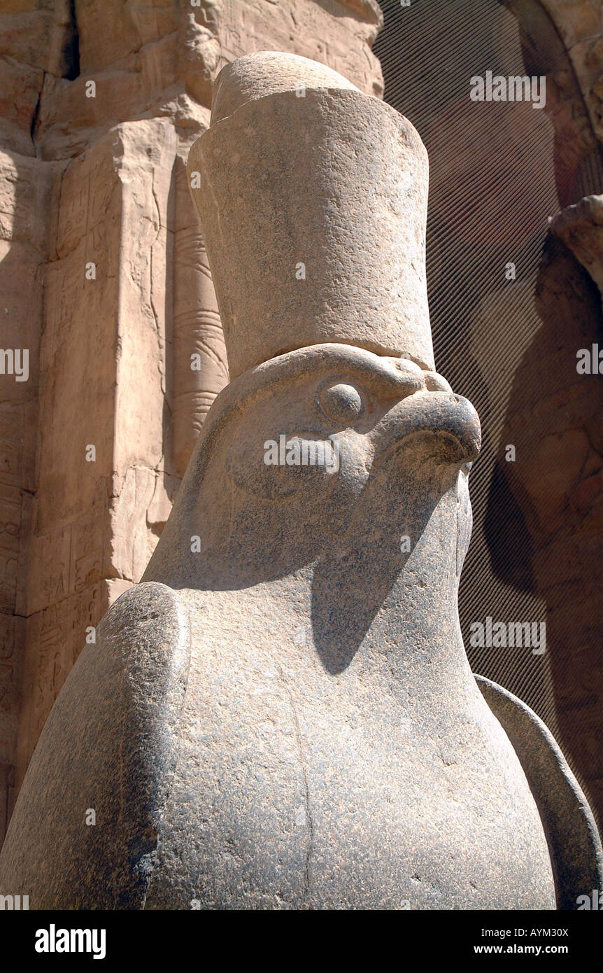Statue en pierre sculptée représentation du dieu faucon Horus à Edfou ...