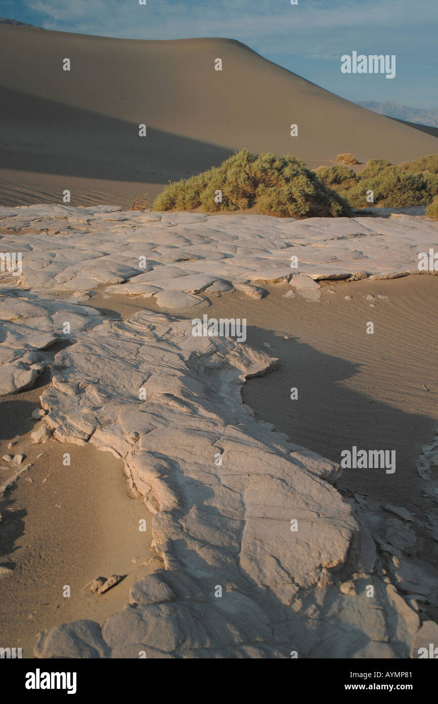 Dene valley Banque de photographies et d’images à haute résolution - Alamy