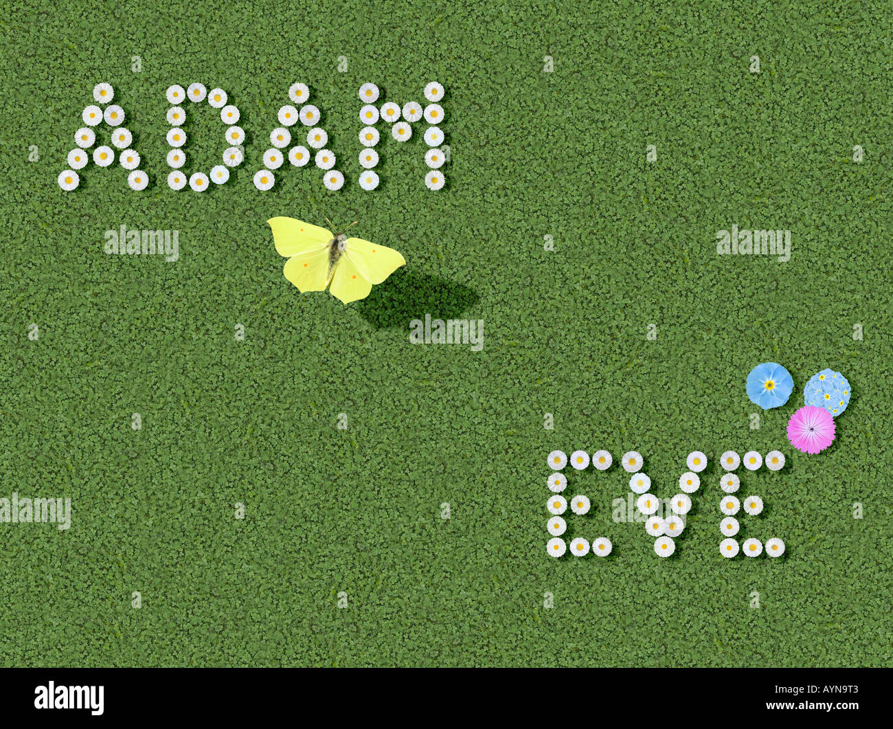 Paradise adam eve Banque de photographies et d’images à haute ...