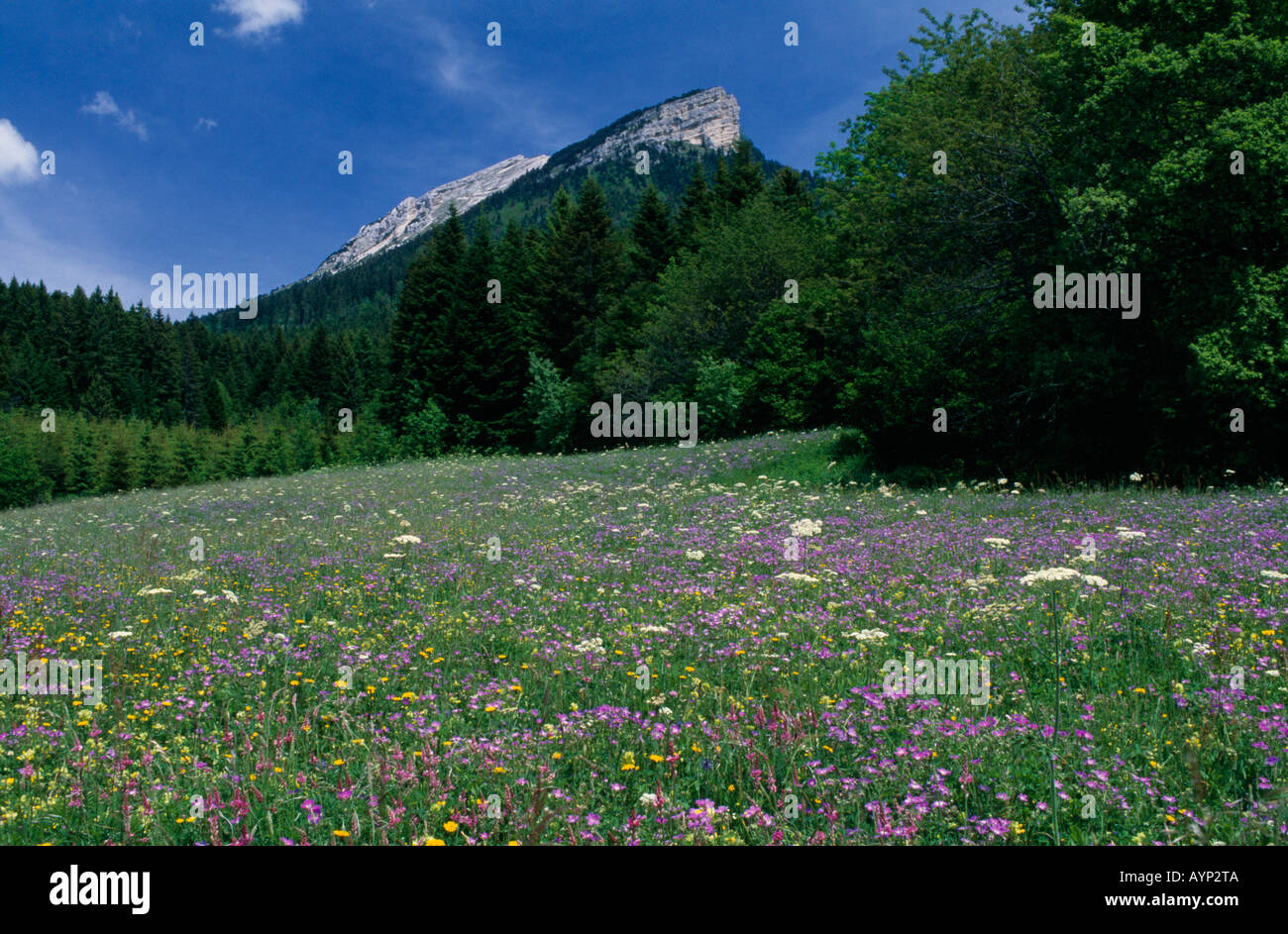 Massif de la chartreuse Banque de photographies et d’images à haute ...