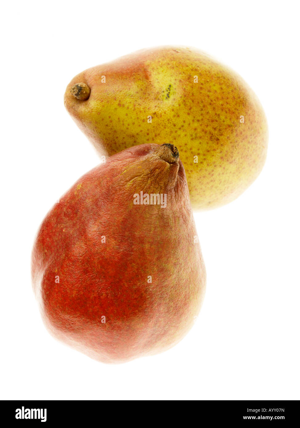 Poires rocha Banque de photographies et d’images à haute résolution - Alamy