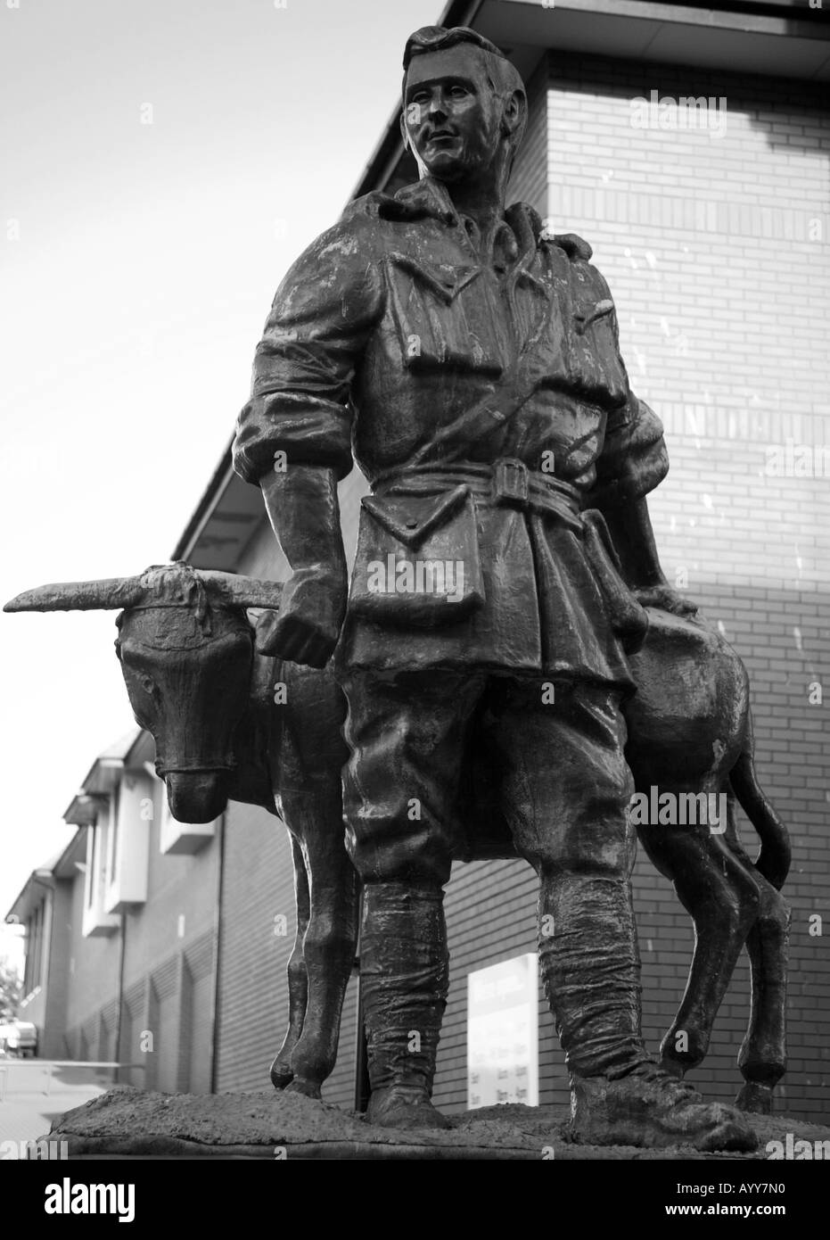 Simpson and his donkey Banque de photographies et d’images à haute ...