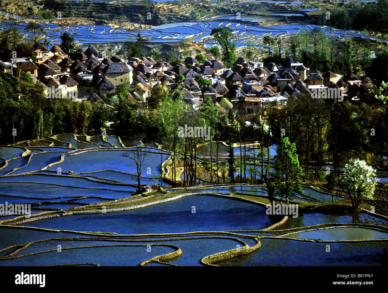 Village du comté de Yuanyang et ses rizières en terrasses construites ...