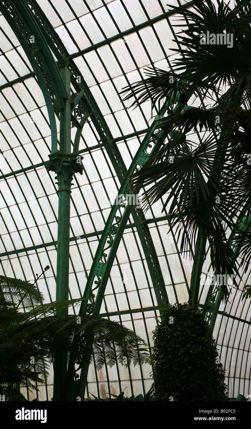 L'intérieur de l'hiver, les Serres Royales de Laeken, Bruxelles ...