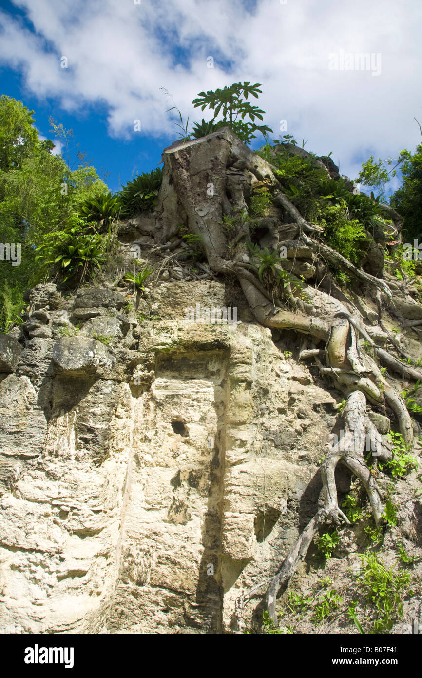 Guatemala, El Petén, Tikal, Plaza de los Siete Templos Temple des sept temples Photo Stock - Alamy