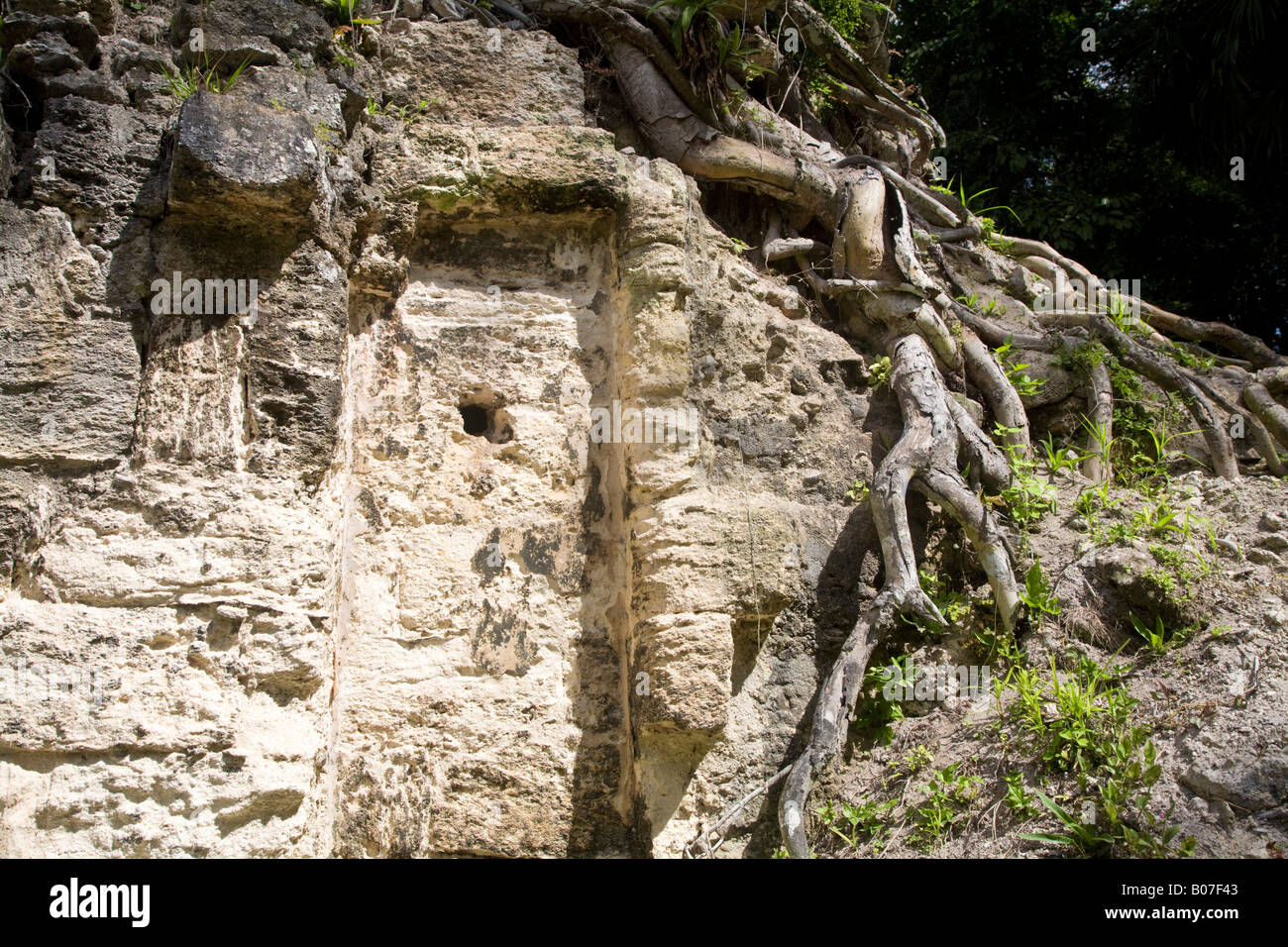 Guatemala, El Petén, Tikal, Plaza de los Siete Templos Temple des sept temples Photo Stock - Alamy