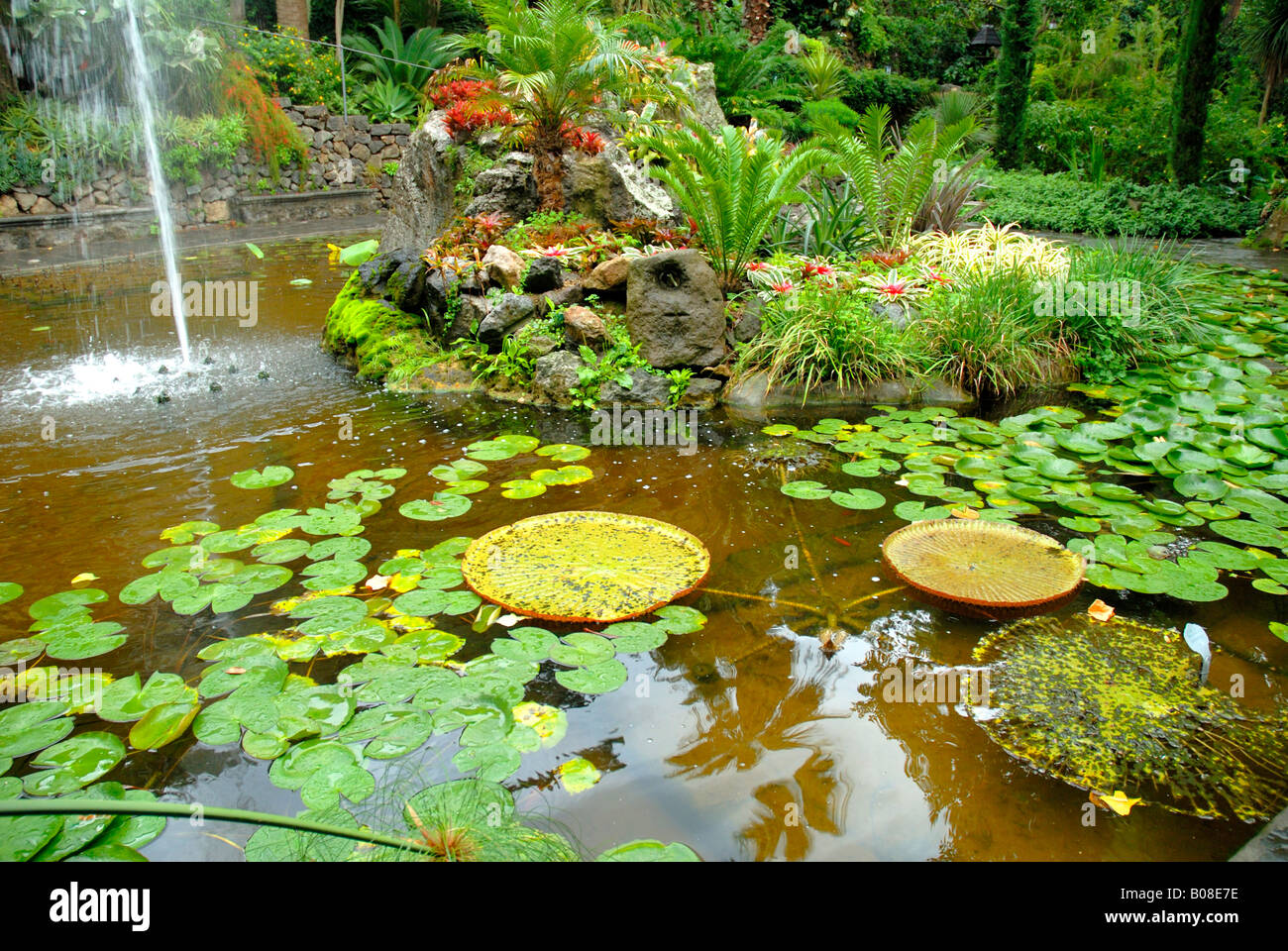 Les Jardins De La Mortella, créé sur l'île de Ischia du compositeur ...