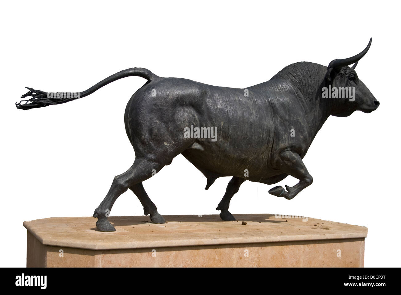 Taureau de combat Banque de photographies et d’images à haute ...