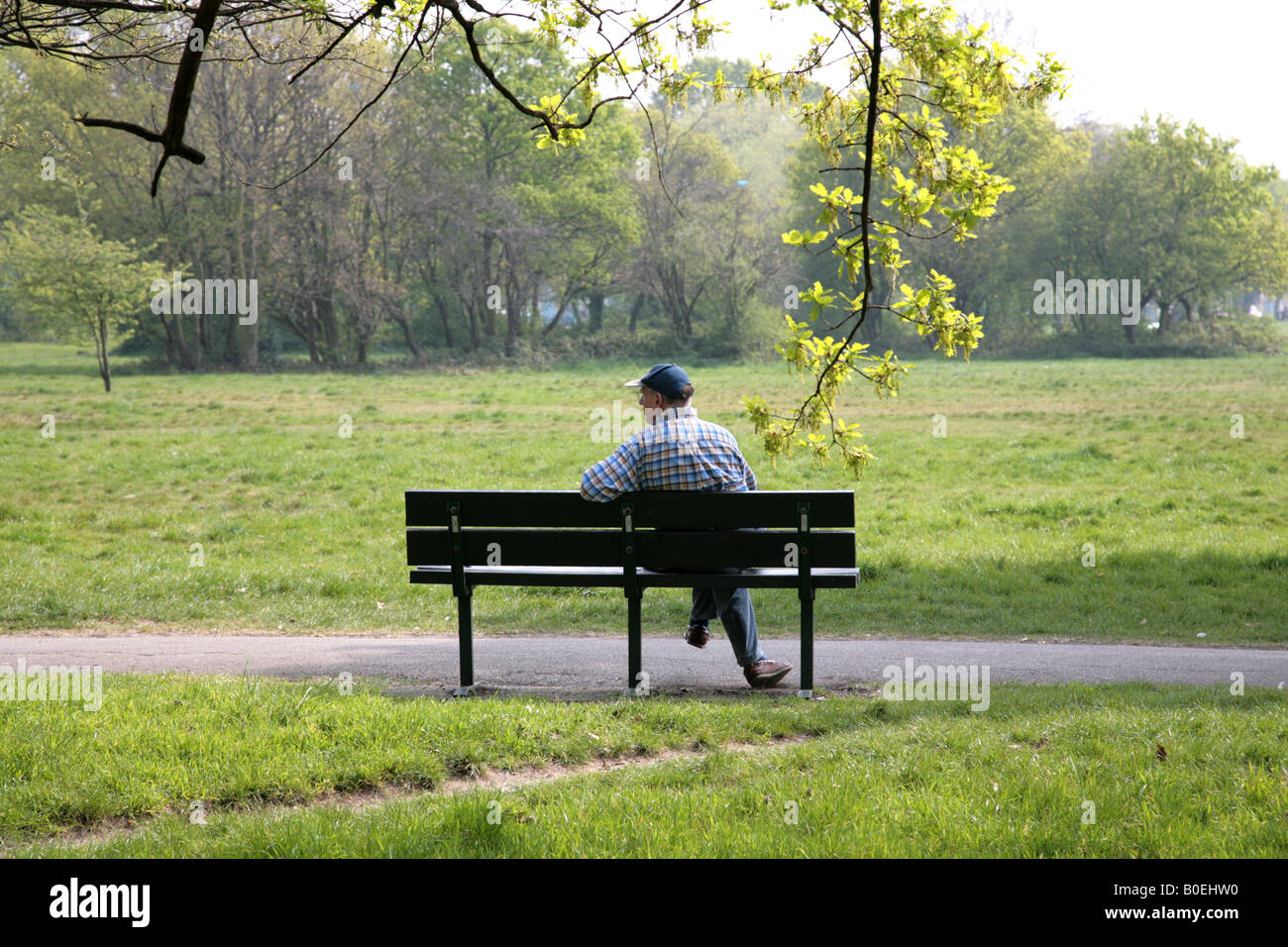 Homme Assis Seul Sur Banc De Parc Photo Stock Alamy