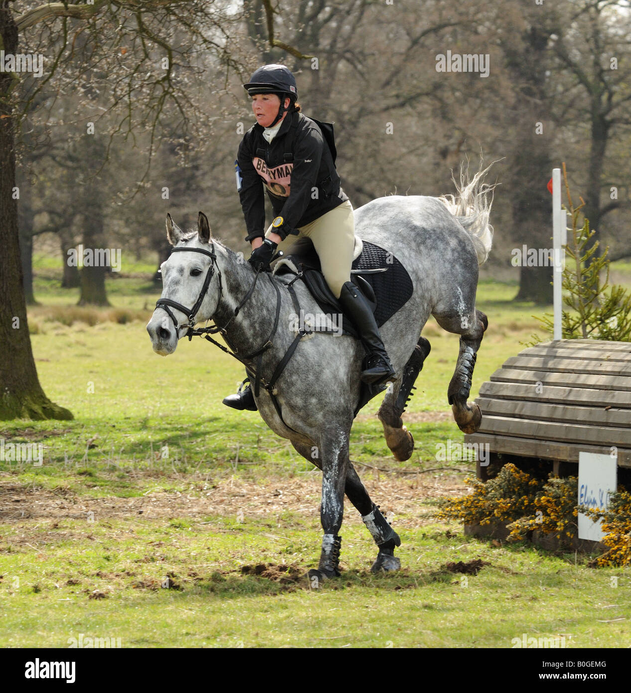 Cross country horse Banque de photographies et d’images à haute ...