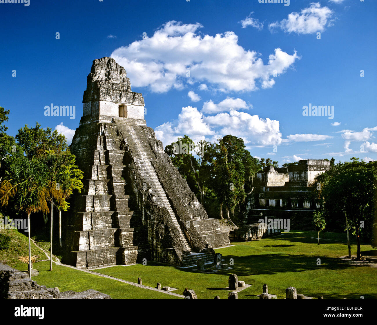 Ruines du temple de Tikal, pyramide Maya, Guatemala, Guatemala ...