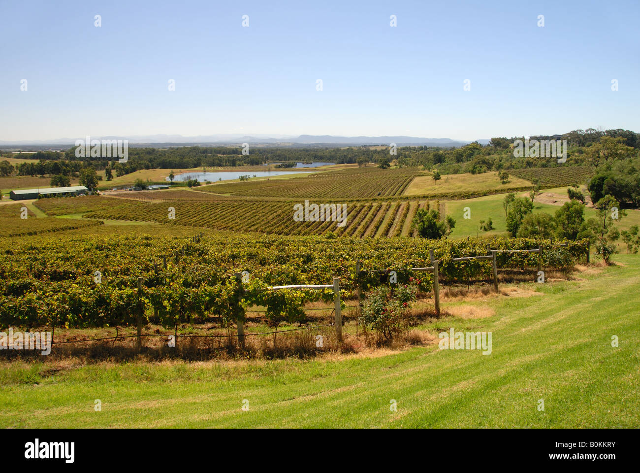 Hunter valley Banque de photographies et d’images à haute résolution ...