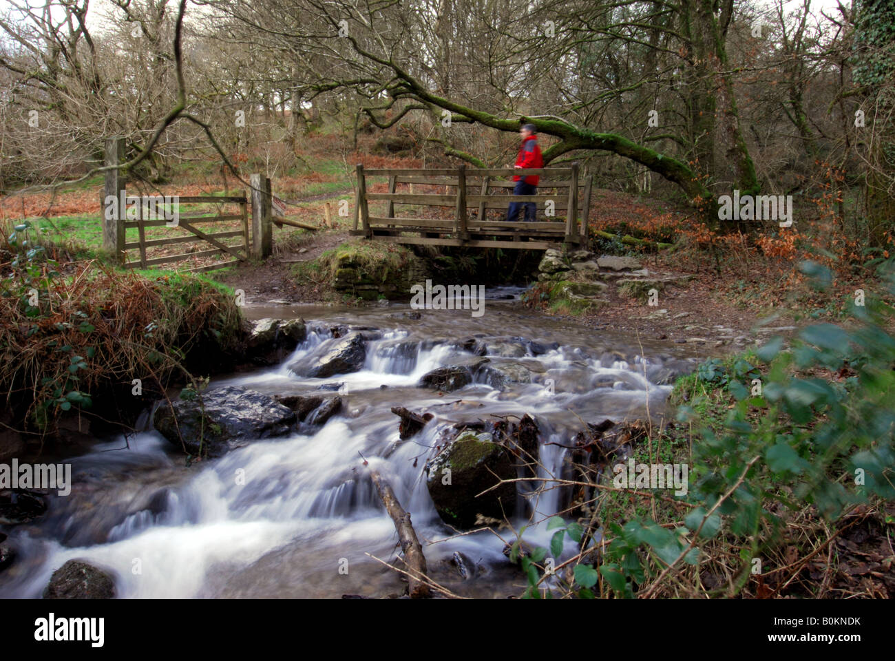 Bois knaplock Banque de photographies et d’images à haute résolution ...