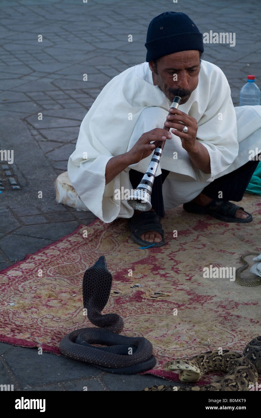 Serpents place jemaa el fna Banque d'image et photos - Alamy