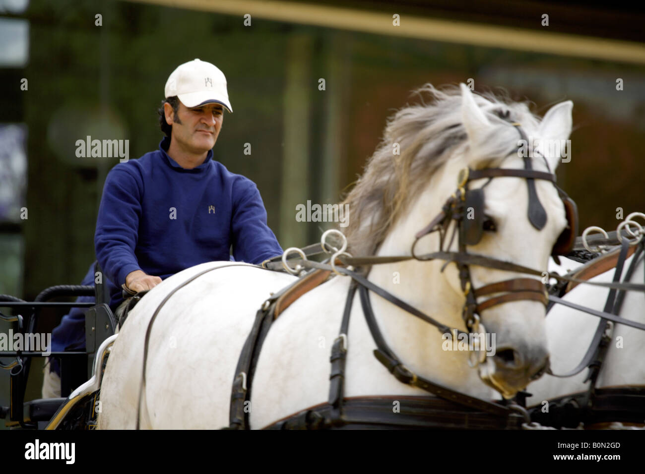 Char tiré par un cheval Banque de photographies et d’images à haute ...