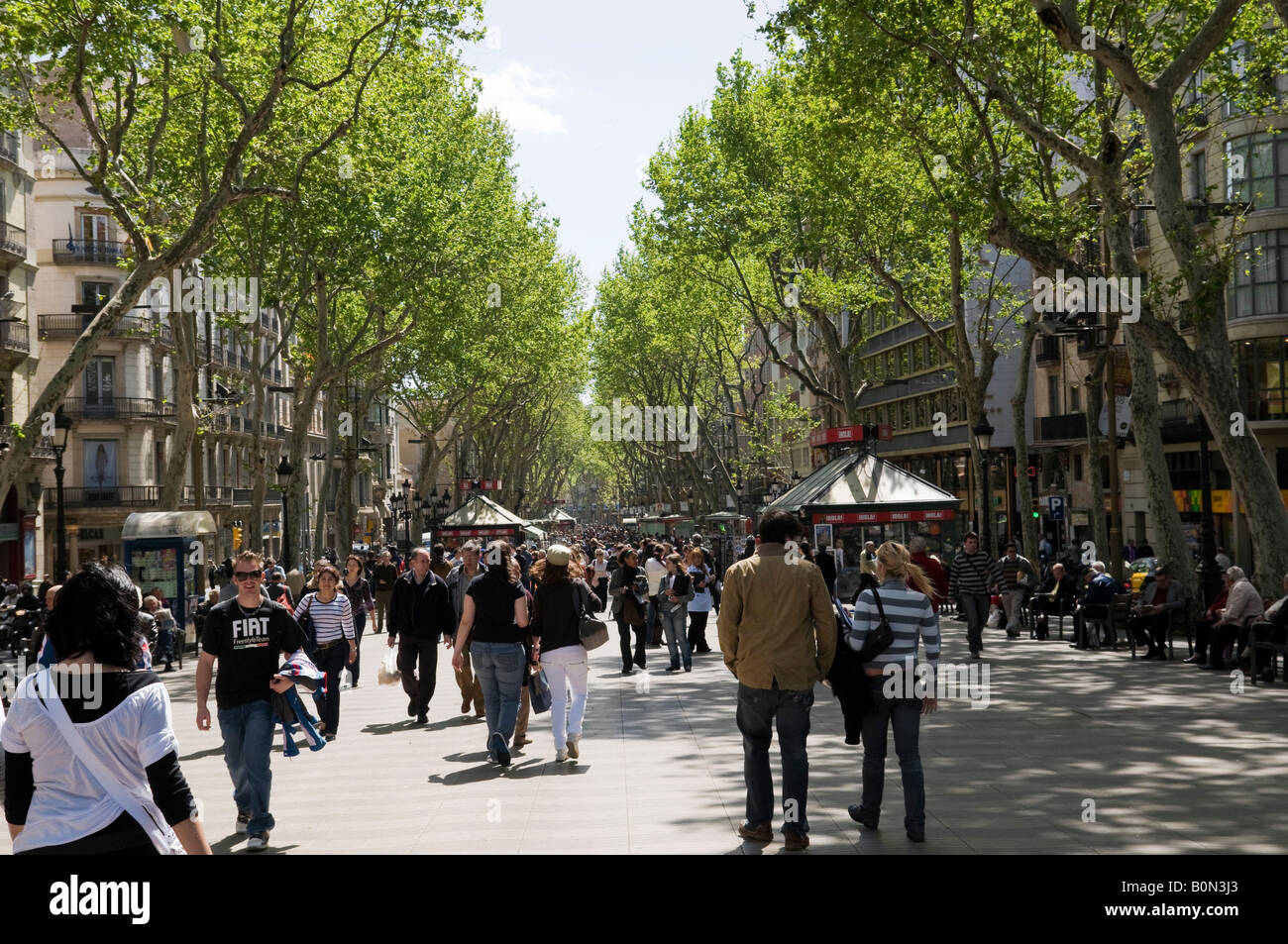 Las ramblas barcelona Banque de photographies et d’images à haute résolution - Alamy