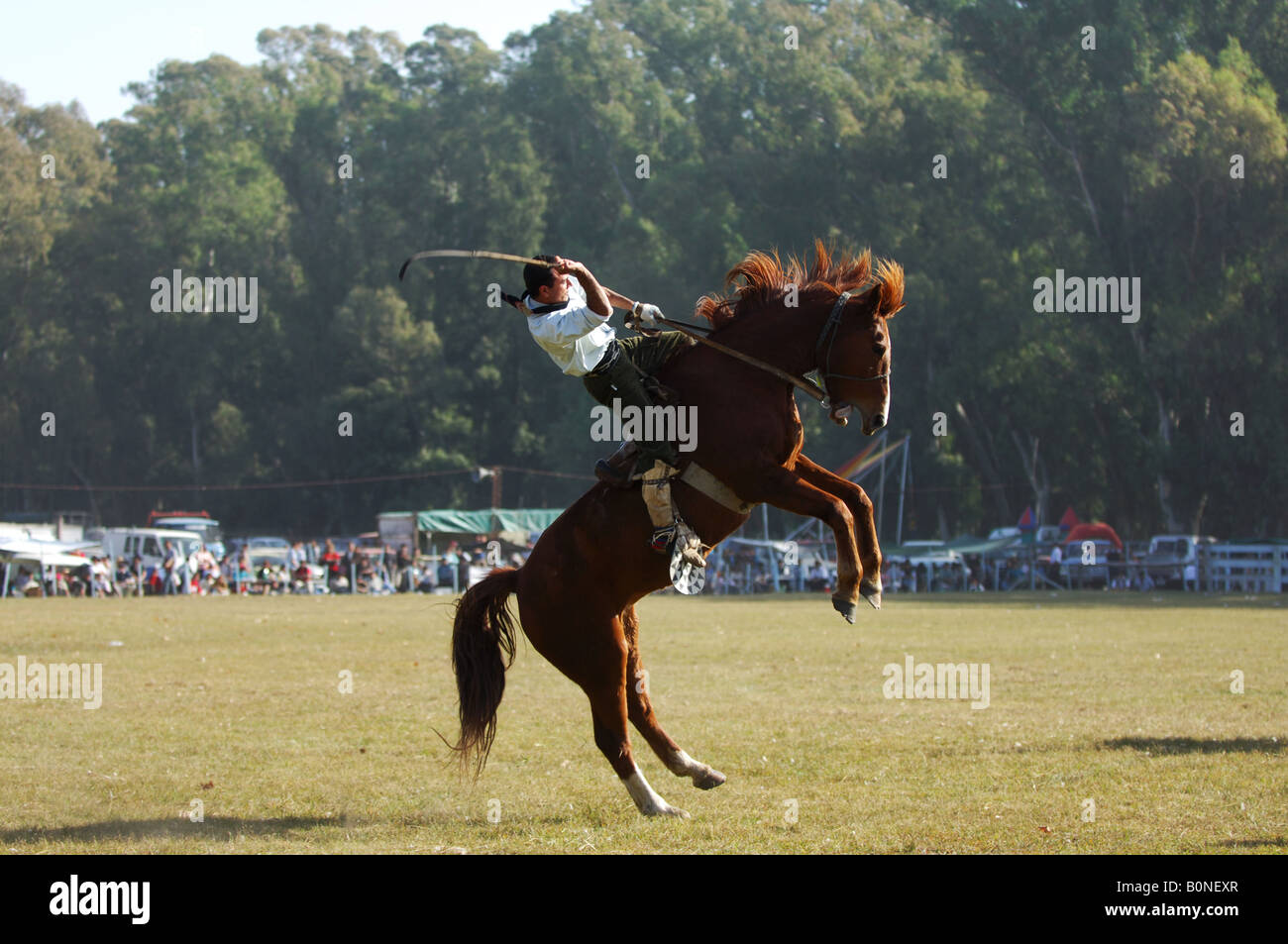 Rodeo rider Banque de photographies et d’images à haute résolution - Alamy