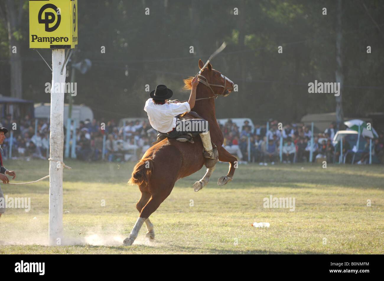Chute de cheval Banque de photographies et d’images à haute résolution ...