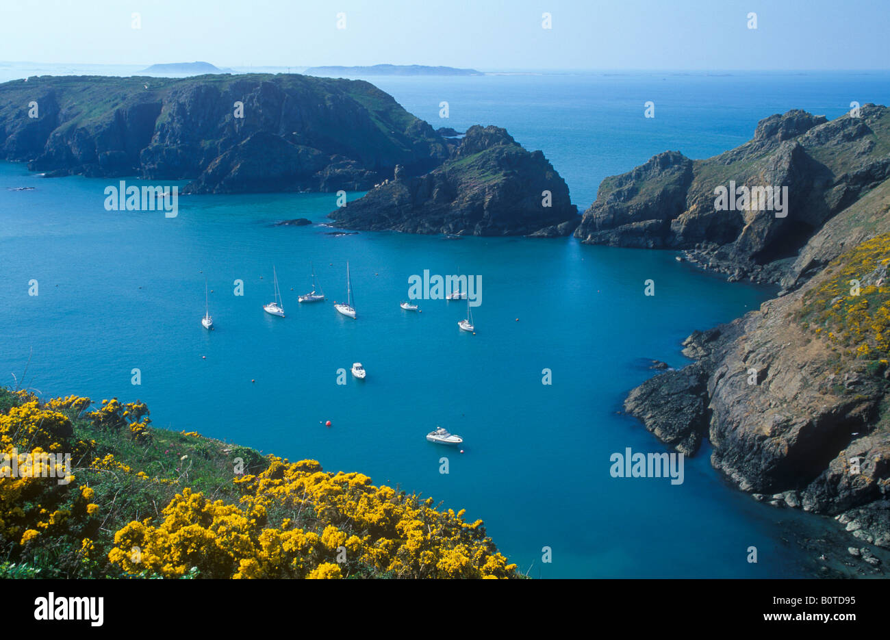 Sark sark Banque de photographies et d’images à haute résolution - Alamy